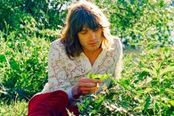 Events | The Orange Peel